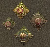 OFFICER's RANK INSIGNIA